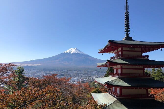 One Day Tour From Tokyo To Osaka By Shinkasen Private Group - The Sum Up