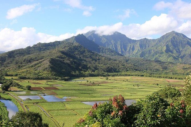 One-Day Tour Hawaii Movie Tour: Island Hopping from Oahu to Kauai - Key Points