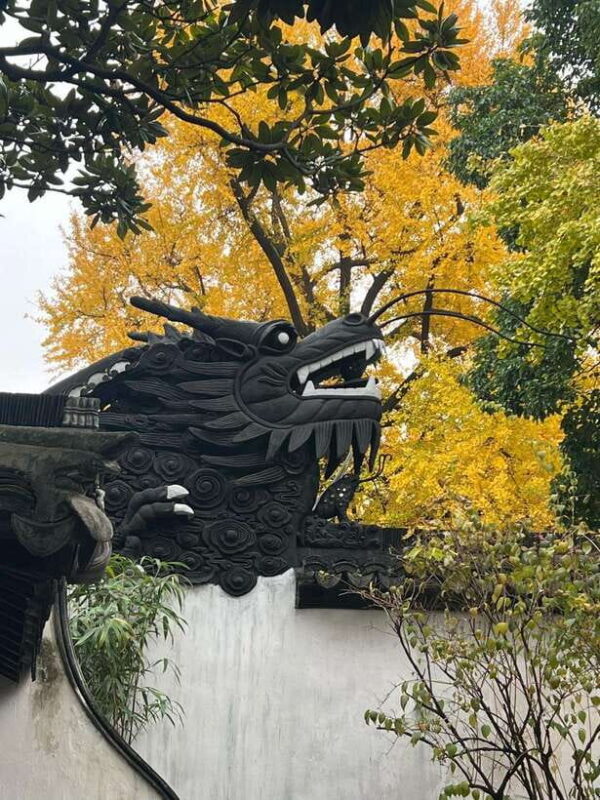 One Day Tour in Shanghai Layover Friendly the Bund/Yu Garden - What We’ve Learned from Other Travelers’ Experiences