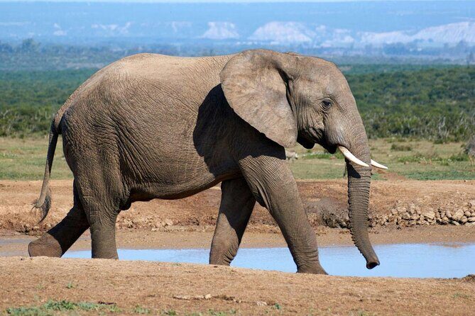 One Day Tour inside Chitwan National Park - Key Points