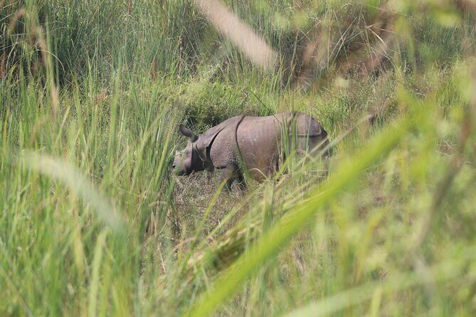 One Day Tour inside Chitwan National Park - The Itinerary in Detail
