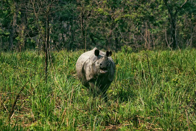 One Day Tour inside Chitwan National Park - What Travelers Say