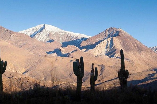 One Day Tour of Cachi and Calchaquí Valleys From Salta - Guide and Experience