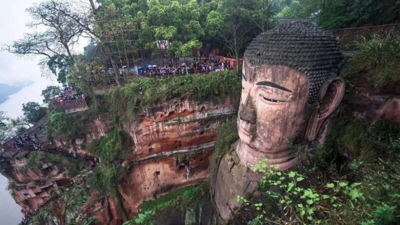 One-day tour of Panda Park and Leshan Giant Buddha - The Sum Up