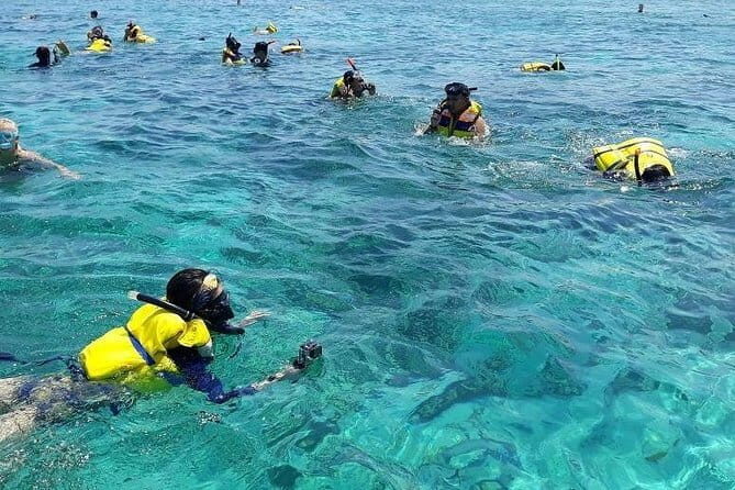 One Day Tour Pink Beach East Lombok Excursion - The Itinerary in Detail: What to Expect