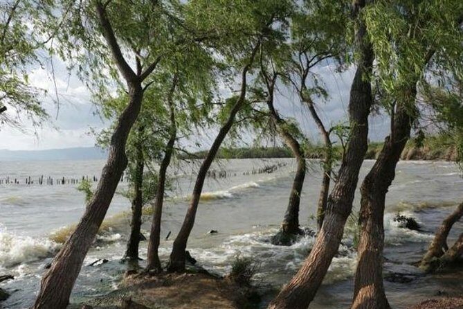 One day tour to eastern coast region of Daichi Lake - Exploring Yunnan’s Hidden Gems: A Review of the One-Day Tour to the Eastern Coast of Dianchi Lake