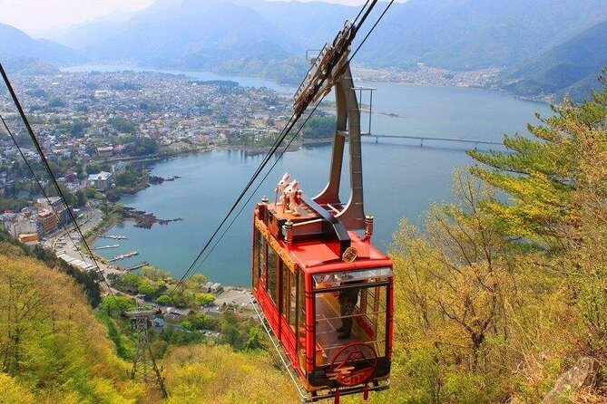 One Day Tour to Oishi Park and Fruit Picking in Mt. Fuji Tokyo - Inclusions