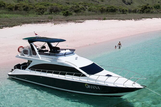 One Day Tours Komodo - Padar Island - What’s Included and What’s Not?