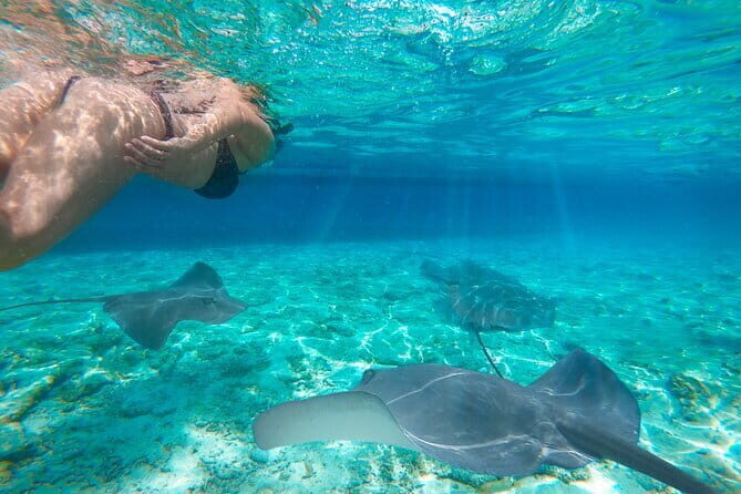 One Day Tours Komodo - Padar Island - Who Is This Tour Best For?