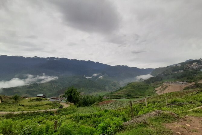 One day Trekking in Sapa and Muong Hoa Valley with local guide - The Sum Up