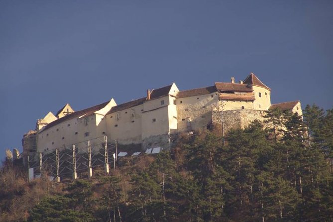 One day trip Bear Sanctuary Dracula Castel and Rasnov Fortress from Brasov - Who Should Take This Tour?