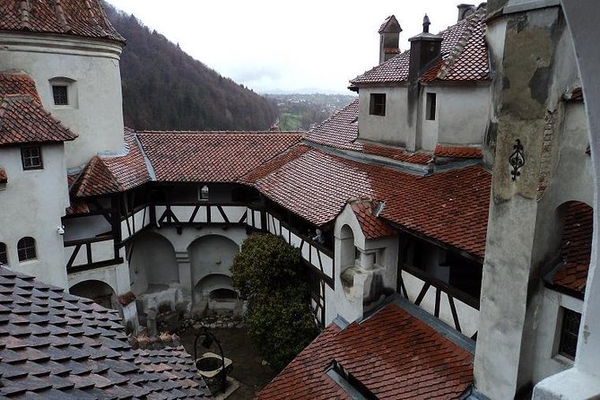 One Day Trip Bear Sanctuary, Dracula Castle, Rasnov Fortress From Brasov - Pricing and Booking