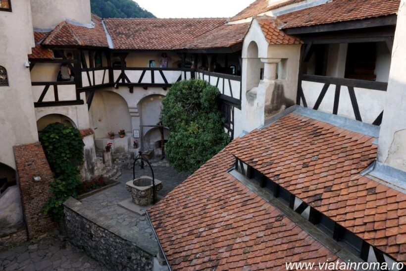 One day trip Bear Sanctuary, Dracula Castle - FAQ