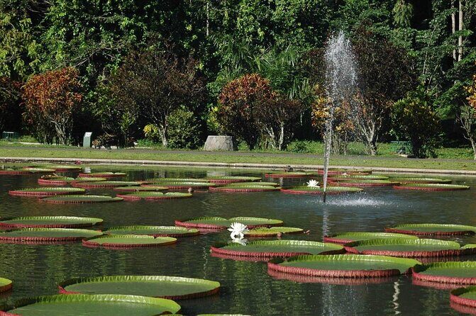One Day Trip : Bogor City Tour With Lunch ( Start From Jakarta) - Key Points