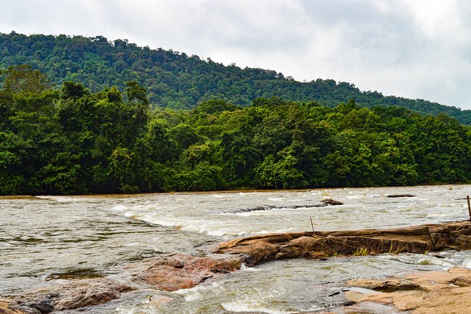 One day trip to Athirapally waterfall and Cherai beach to Kochi. - Who Will Love This Tour?