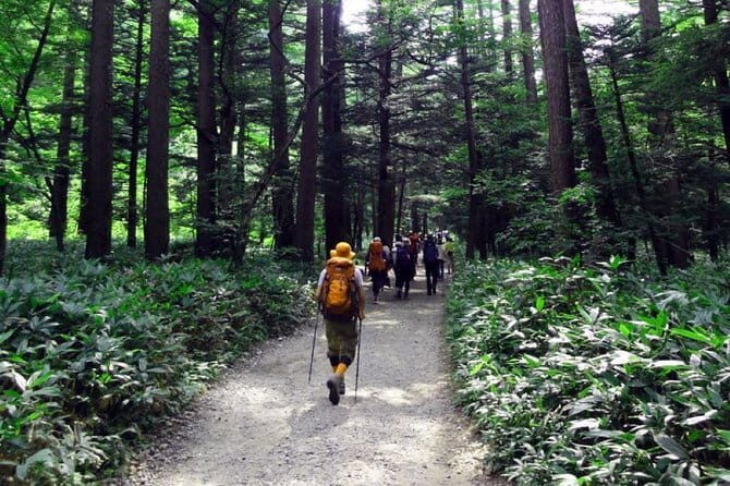 One Day Trip to Kamikochi& Hida With Lunch From Nagoya - FAQs about the Kamikochi & Hida Tour