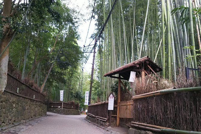 One-Day Walking Tour : Enjoy Kyoto to the Fullest! - Top-Rated Tour Guides