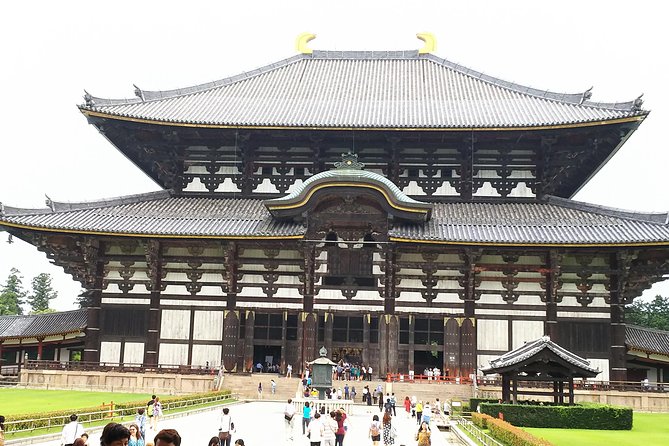 One-Day Walking Tour of Amazing 8th Century Capital Nara - Nara Park and the Captivating Deer
