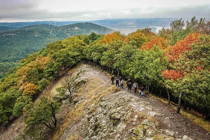 One Day Wonder Hiking Trip - Traveler Feedback and Impressions