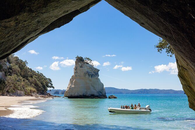 One Hour Cathedral Cove Boat Tour in Hahei - An In-Depth Look at the Cathedral Cove Boat Tour