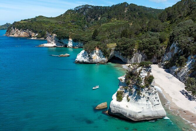 One Hour Cathedral Cove Boat Tour in Hahei - The Sum Up