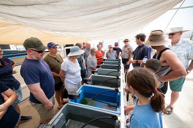 One Hour Coral Farm Tour, Discover Australia's Marine Life - Who Is This Tour Best Suited For?