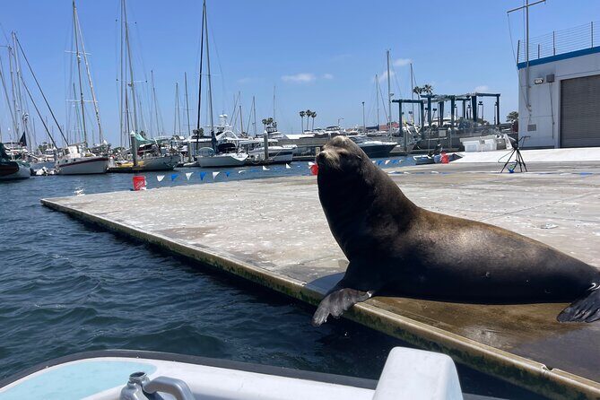 One Hour Cruise Around Marina del Rey - Exploring the Itinerary in Detail