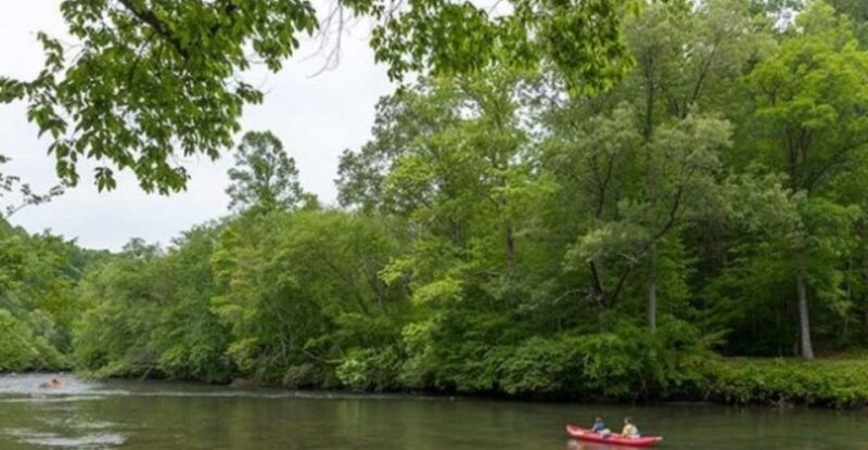 One Hour Daytime Kayak Adventure for couple - The Experience Itself: What You’ll Likely Encounter