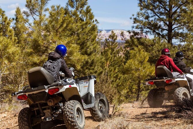 One Hour Guided ATV Ride in Utah - Highlights of the ATV Adventure