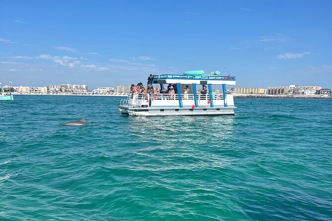 One Hour Harbor Shared Tour with Dolphin Watching - Who Should Consider This Tour?