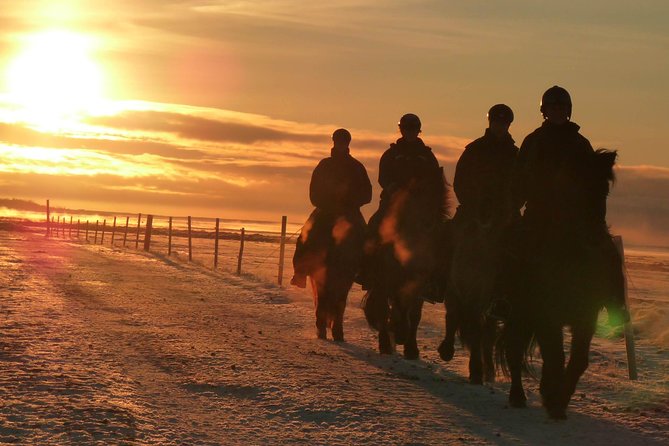 One-Hour Horseback Riding Tour in the Icelandic Countryside - Meeting and Pickup Information