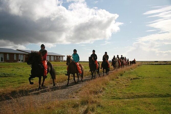 One-Hour Horseback Riding Tour in the Icelandic Countryside - Health and Accessibility Guidelines