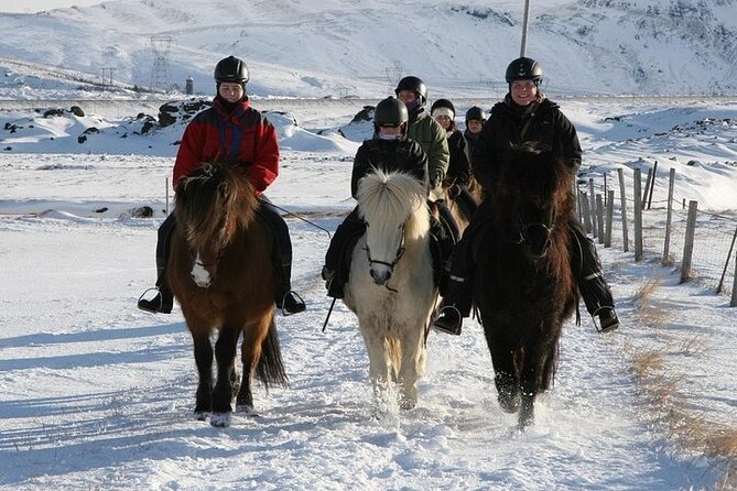 One-Hour Horseback Riding Tour in the Icelandic Countryside - Cancellation Policy