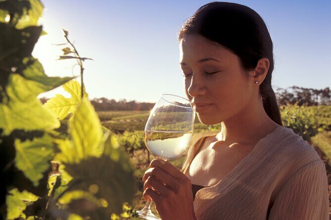 One Hump Camel Farm and Wine Tour - Practical Tips for Tour Participants