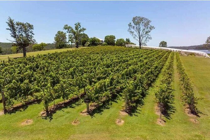 One Hump Camel Farm and Wine Tour - Who Should Consider This Tour?