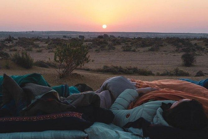 One Night One Day Desert Safari Tour - An Evening of Magic in the Desert