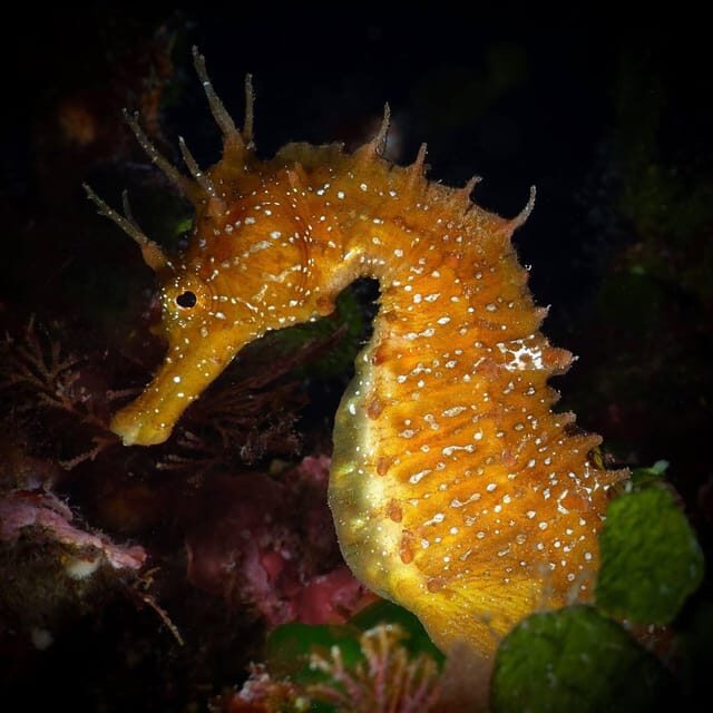 One Scuba Diving Day Trip to Costa Brava - A Closer Look at the Experience