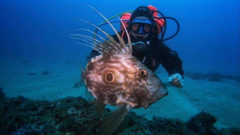 One Scuba Diving Day Trip to Costa Brava - Who Will Love This Tour?