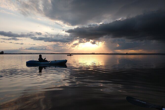One Single Kayak Rental for 2 hours with Manatee & Dolphin sightings! - Exploring the Experience: What You Can Expect