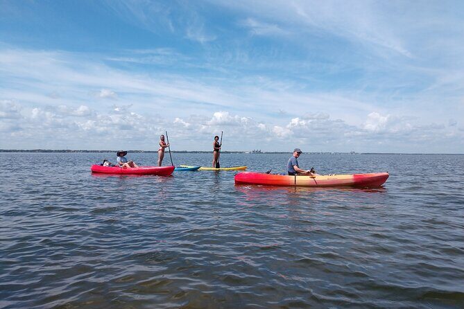 One Single Kayak Rental for 2 hours with Manatee & Dolphin sightings! - Frequently Asked Questions