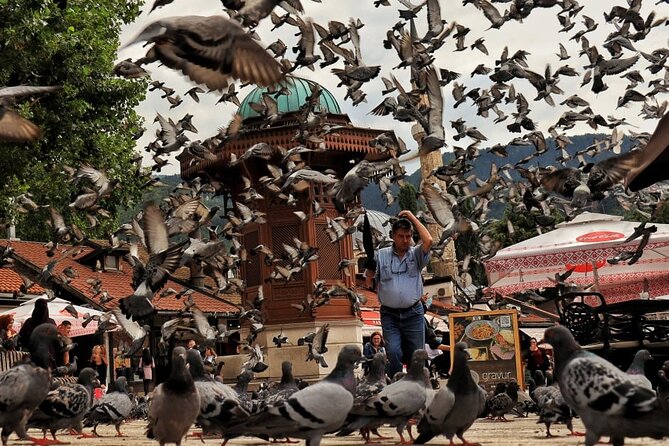 One-way Private Airport Transfer to Sarajevo - Meeting Points and Operating Hours