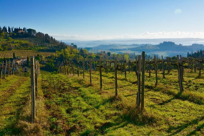 One Way Private Transfer: Florence to Rome with Visit to San Gimignano and Siena - The Sum Up