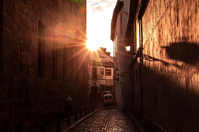 One-Way Private Transfer From/To Granada Airport - Introduction