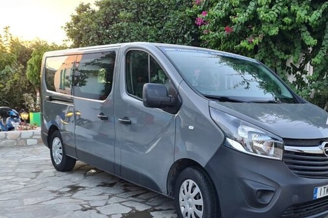 One-Way Private Transfer of up to 8 People in Milos - Who Should Consider This Transfer?