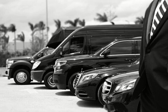 One-Way Transfer from the Airport to the Cruise Port - A Practical Look at the Fort Lauderdale to Cruise Port Transfer Service