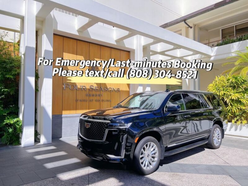 One-Way VIP Transfer: Honolulu Airport, Ko Olina, Port 2/11 - The Practicalities: What You Need to Know