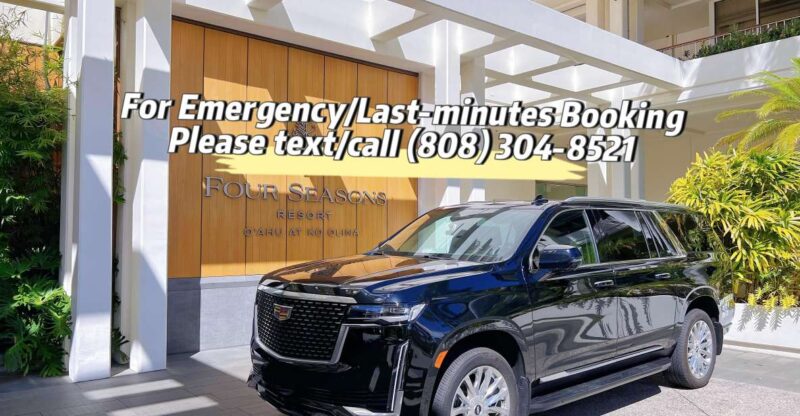 One-Way VIP Transfer: Honolulu Airport, Ko Olina, Port 2/11 - Authentic Traveler Insights