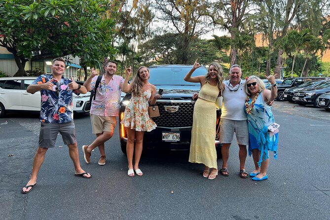 One-Way VIP Transfer: Honolulu Airport, Waikiki, Cruise Port - Key Points