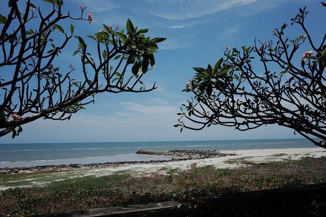 oneway transfer service Bangkok-Hua hin - A Closer Look at the Transfer Experience