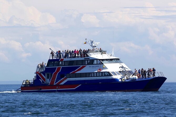 Only Wildlife and Whale Watching Tour Leaving from Seattle - Food, Drinks, and Comfort